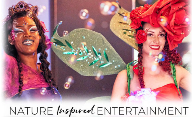 Nature Theme Entertainment - Catalyst Arts